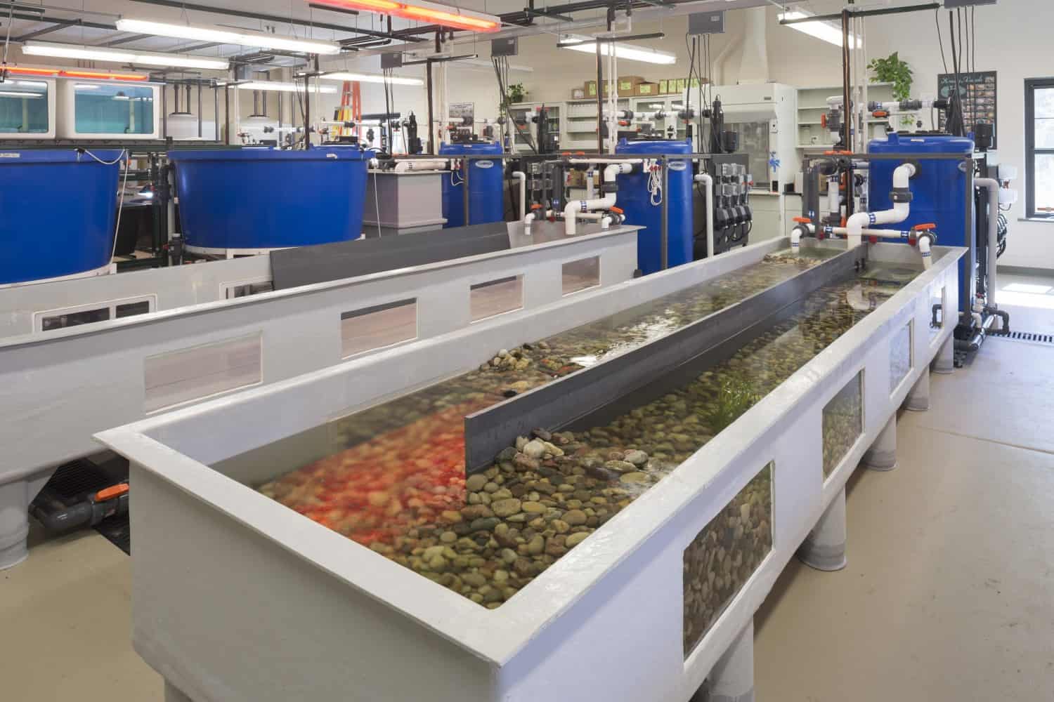 Urban Stream Research Center – A facility for Research and Rebuilding ...